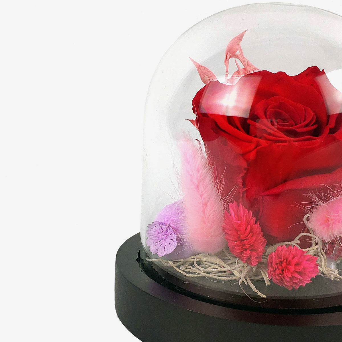 Eternity Roses – Botanicos Flowershop